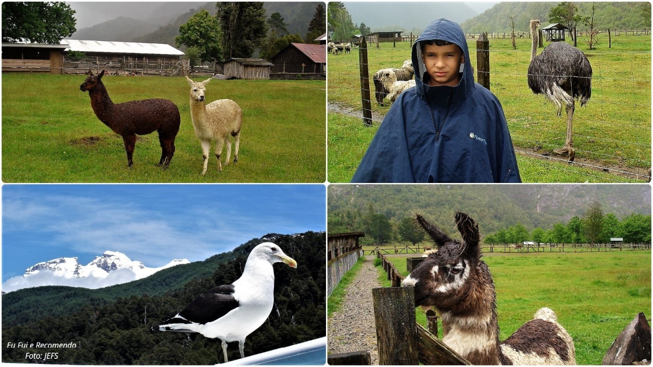 Chile-Lagos Andinos :: Eu Fui e Recomendo